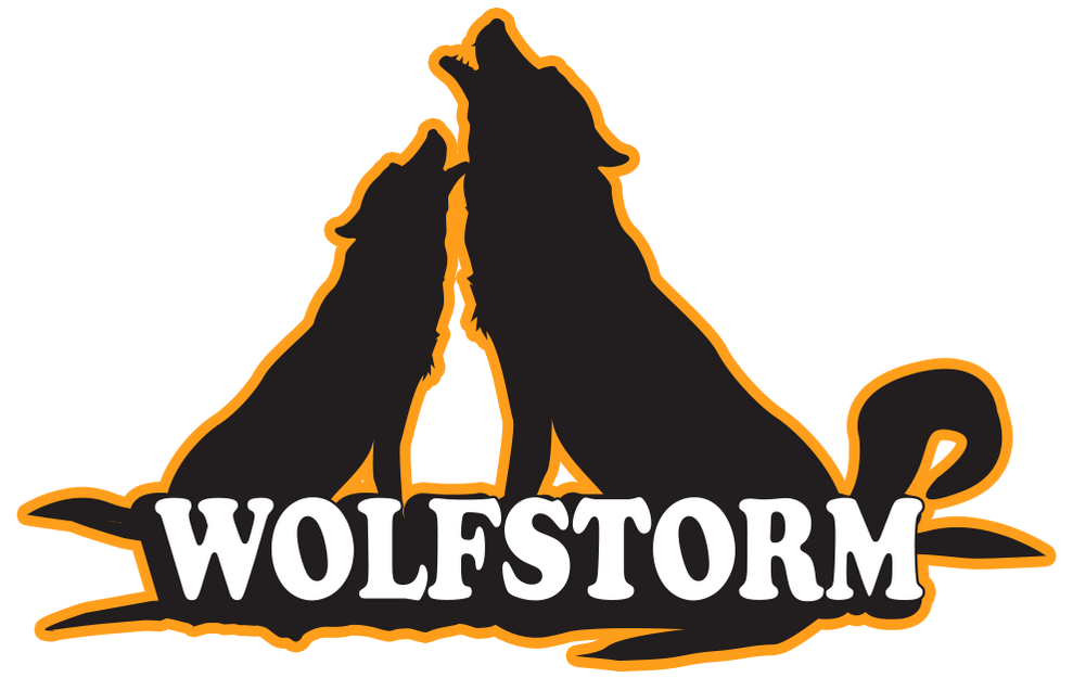 WOLFSTORM A-Pillar LED Lights Bar Mounting Brackets with Lights for 20